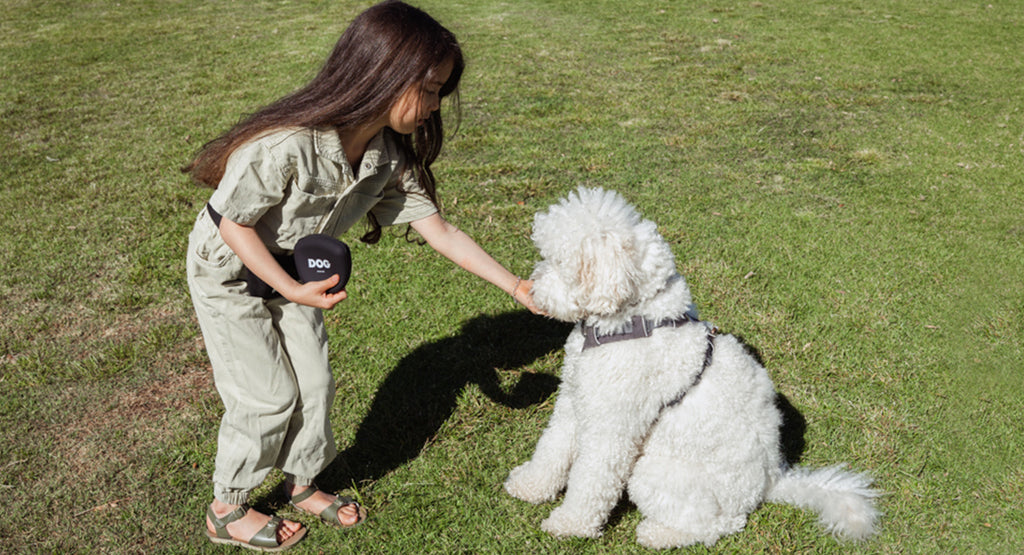 How to introduce dog training to your kids – DOG by Dr Lisa