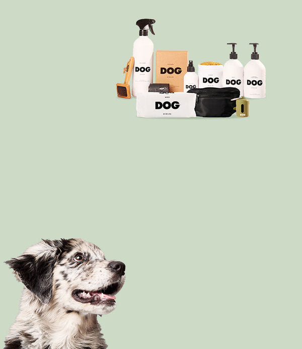 Sets – DOG by Dr Lisa