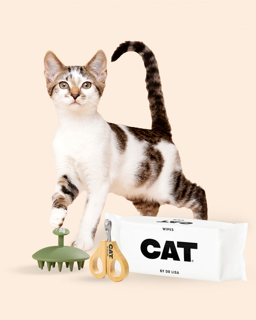 CAT Grooming Starter Set – DOG by Dr Lisa