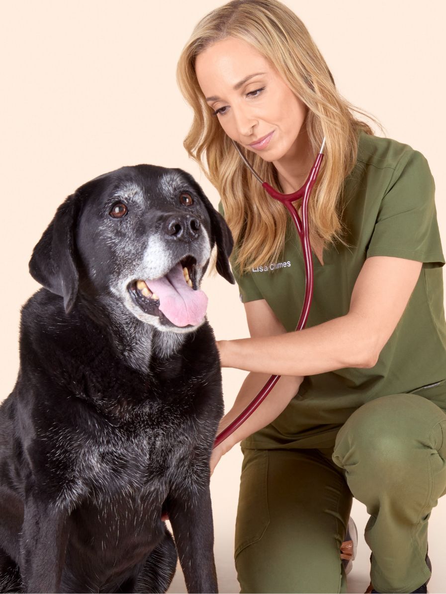 DOG BY DR LISA - Welcome to the Dog Care Revolution – DOG by Dr Lisa