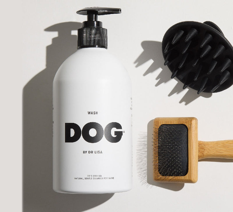 Dog By Dr Lisa