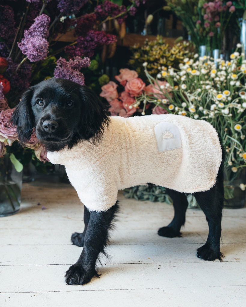 DOG Poncho - Blush – DOG by Dr Lisa